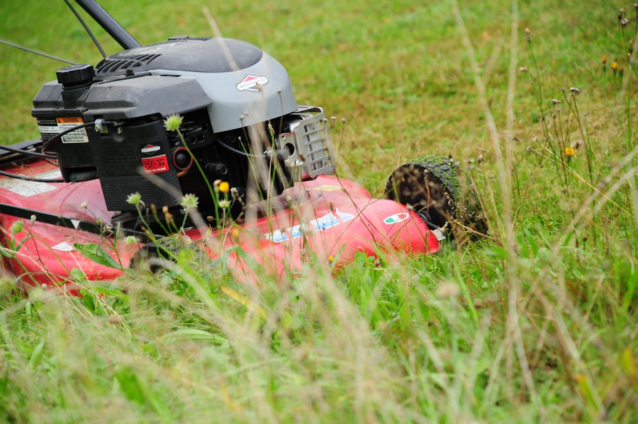 Lawn Chief | Professional Lawn Mowing in Tauranga, Mount Maunganui ...
